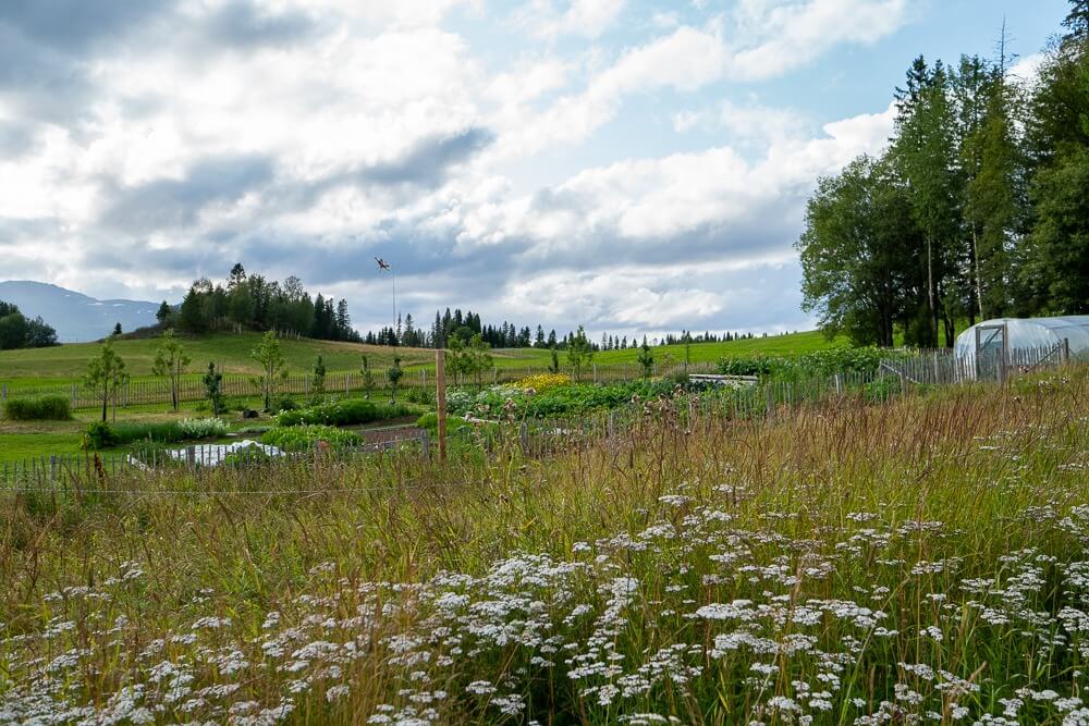 Fäviken Magasinet, Schweden - Letzte Saison im schwedischen Nirgendwo ...